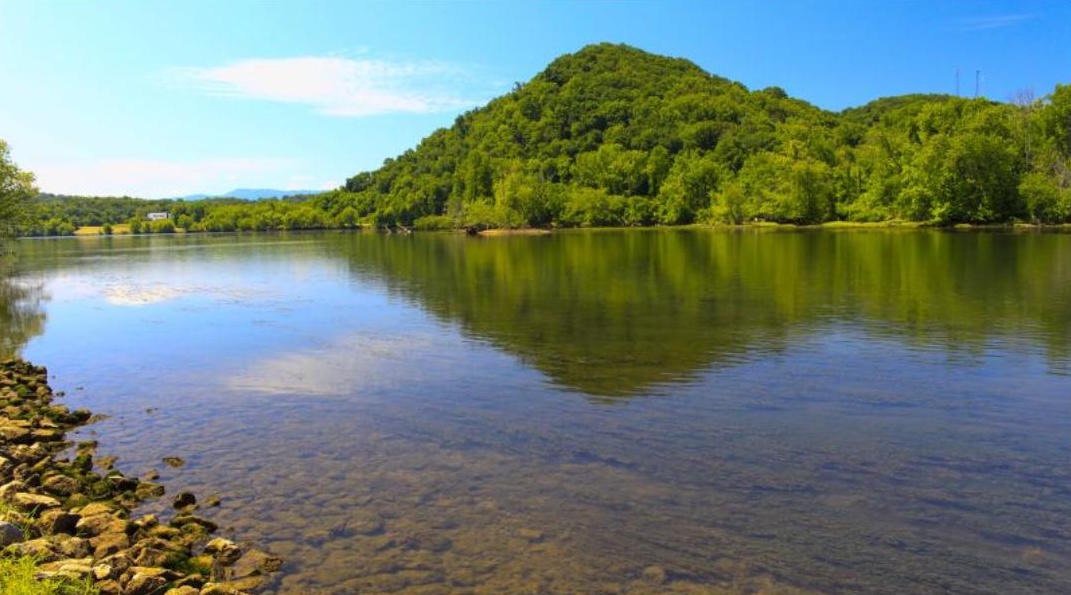 Birds of a feather … head to Seven Islands - Knox TN Today