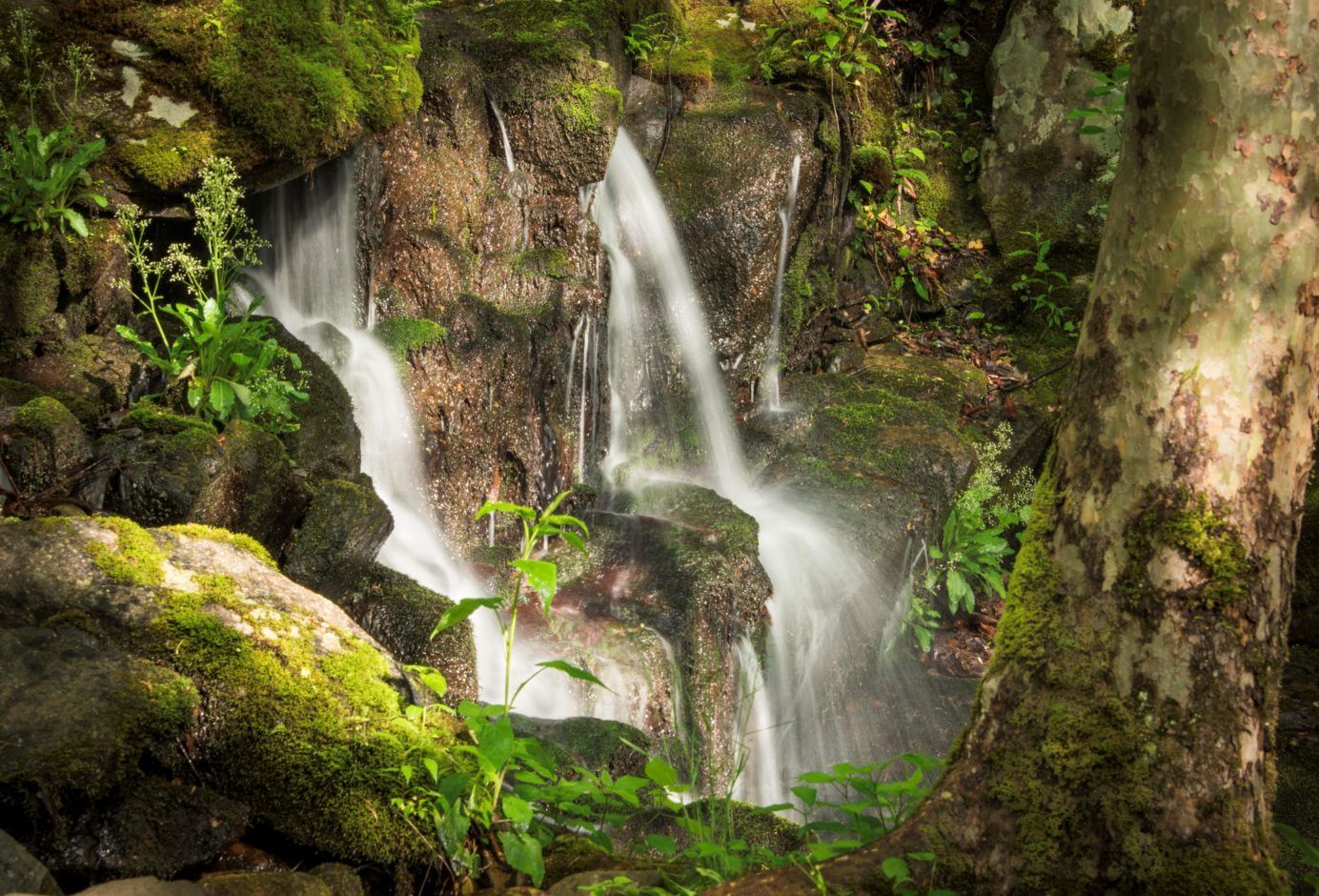Varied textures and light create hidden faces - Knox TN Today