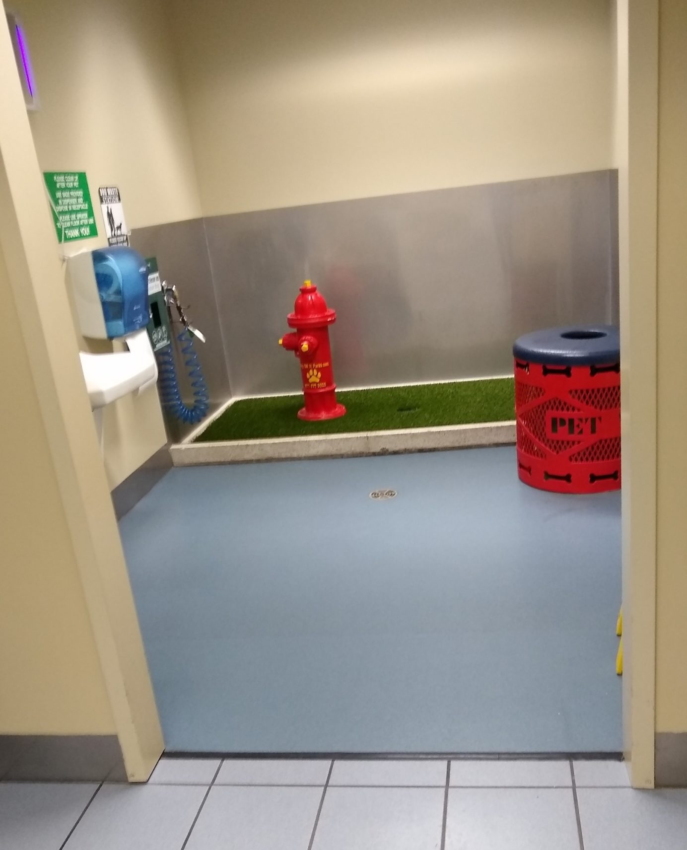 Dogs – not snakes – on planes - Knox TN Today