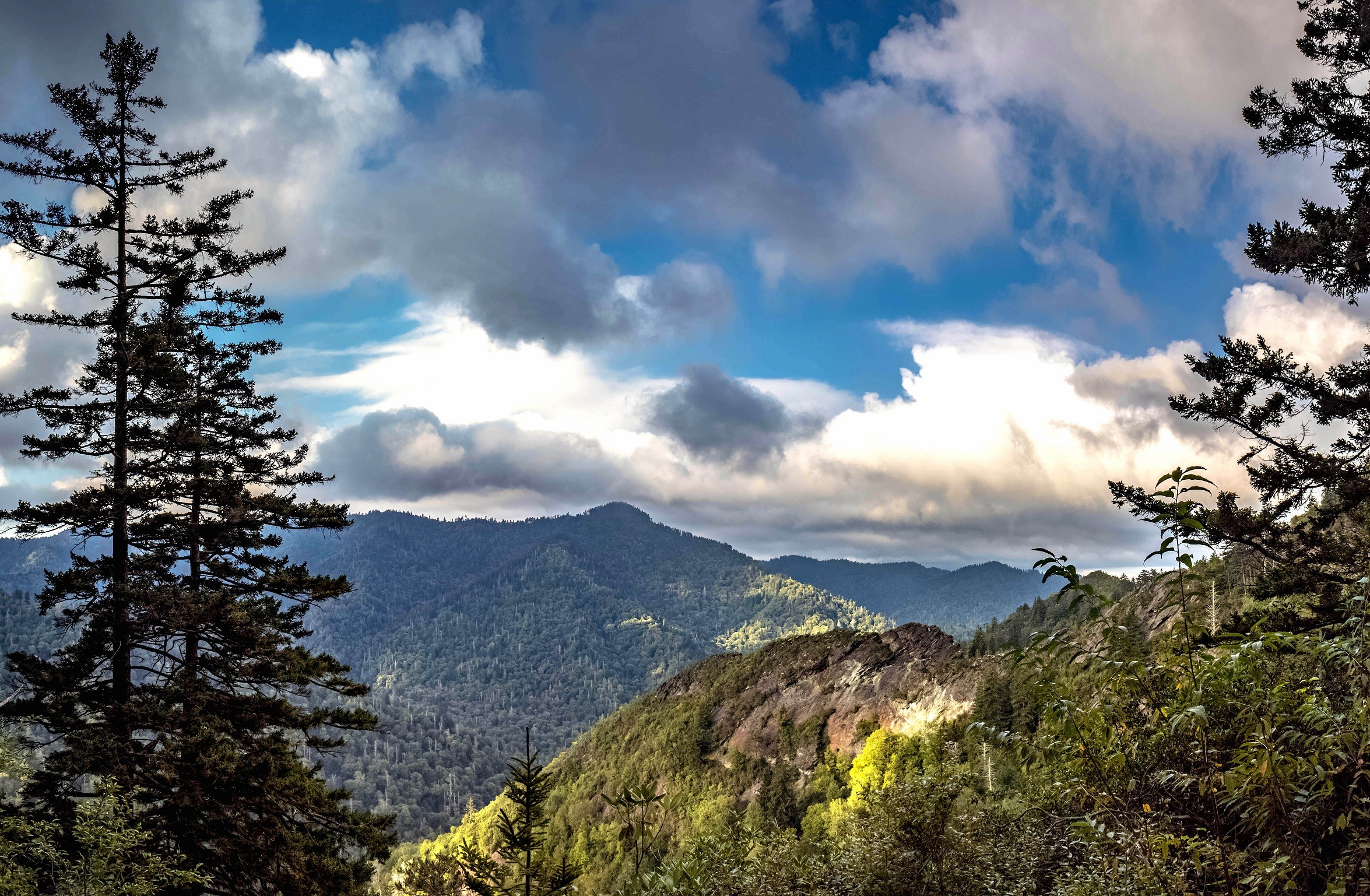 Alum-Cave_Kristy-Parsons - Knox TN Today