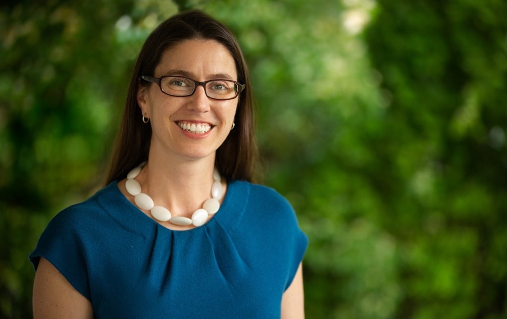 Elizabeth Rowland is candidate for state House - Knox TN Today