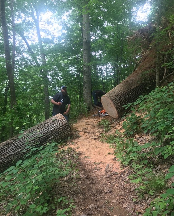 County crews clear trails at IC King Park - Knox TN Today