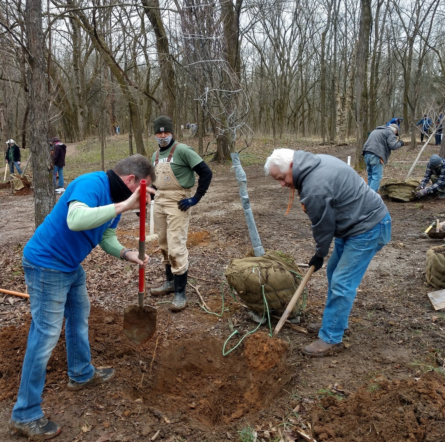 42 trees added to Collier Preserve - Knox TN Today