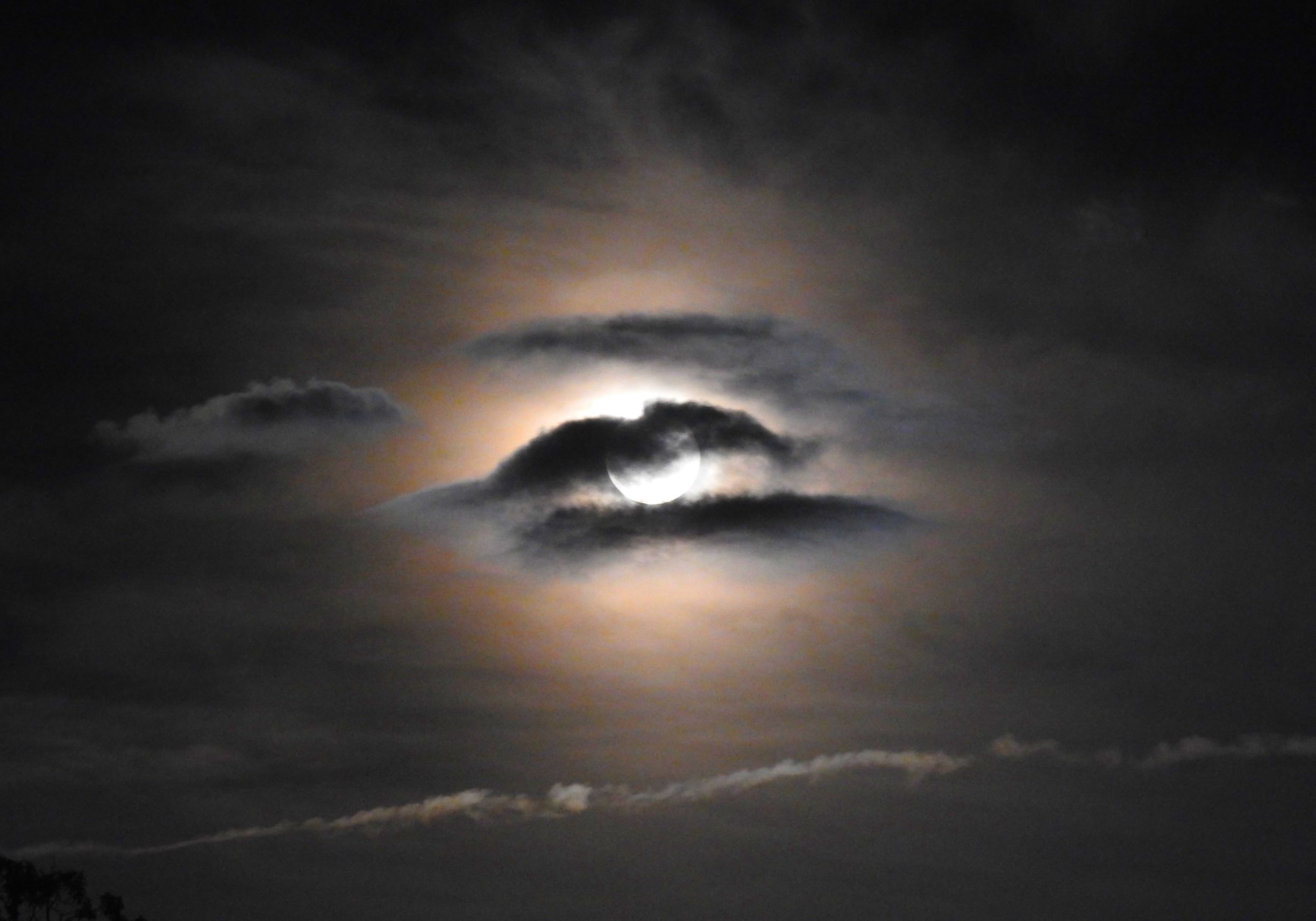 It's Cosmo's moon - Knox TN Today