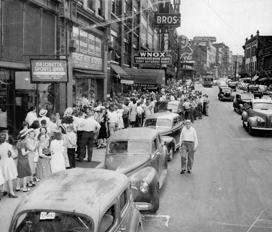 Trees aren’t the only thing: History matters, too - Knox TN Today