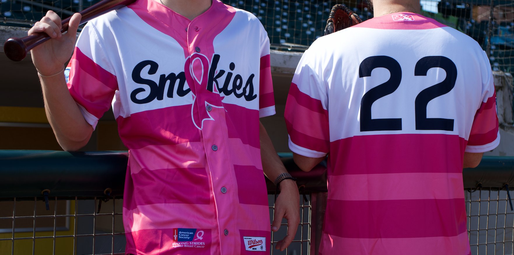 Breast cancer survivor seeks to ‘Paint the Park Pink’ - Knox TN Today