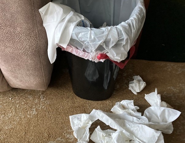 Kleenex avalanches, thoughts and Paul McCartney - Knox TN Today