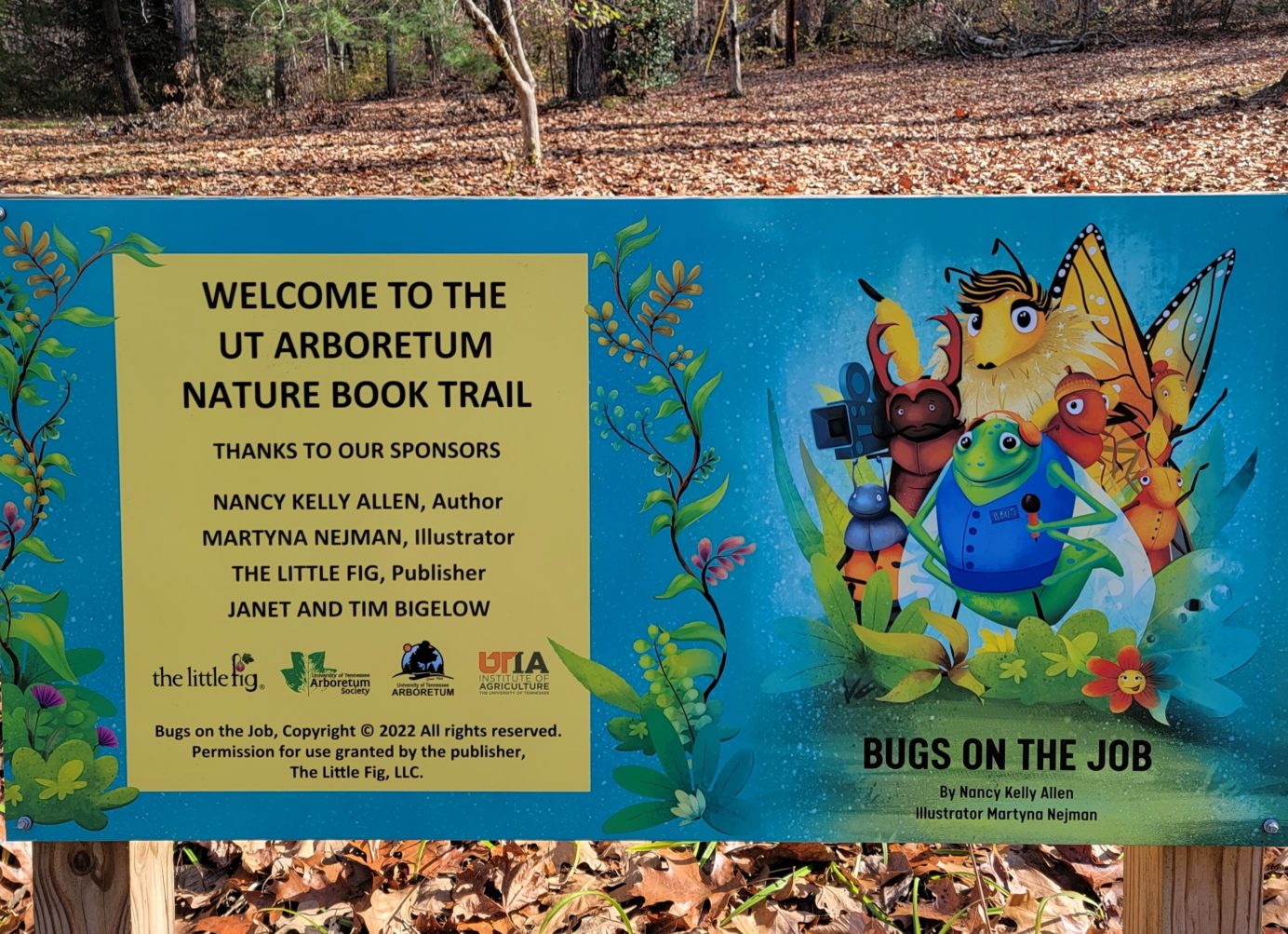 Roving reporter Ian Sect on the job - Knox TN Today