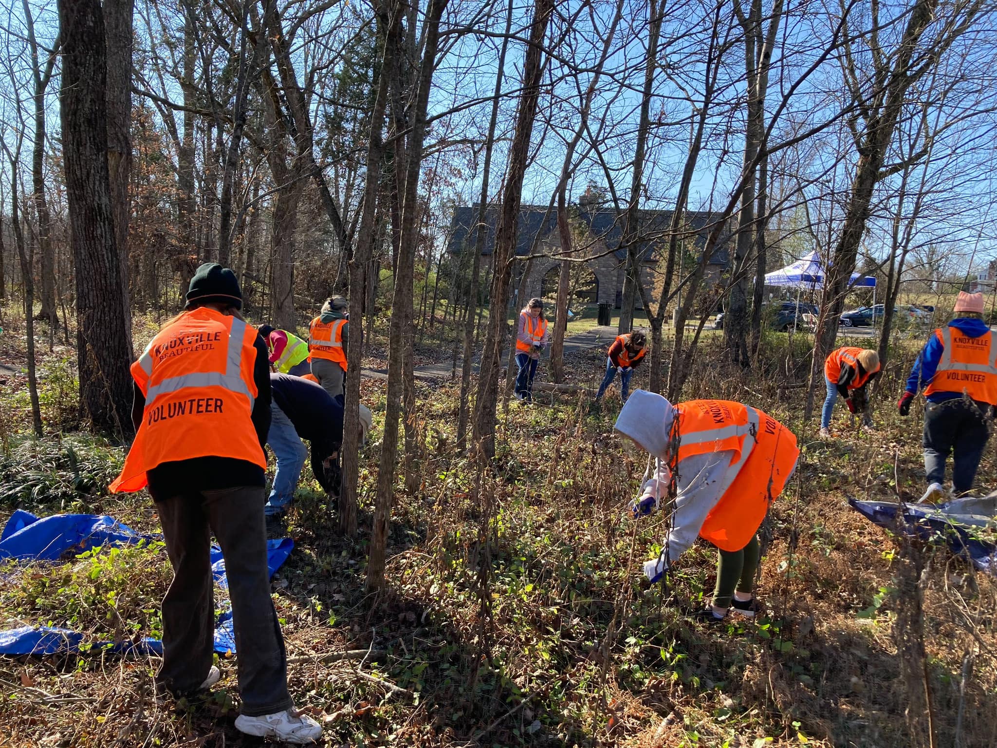 Volunteers at Collier Preserve - Knox TN Today