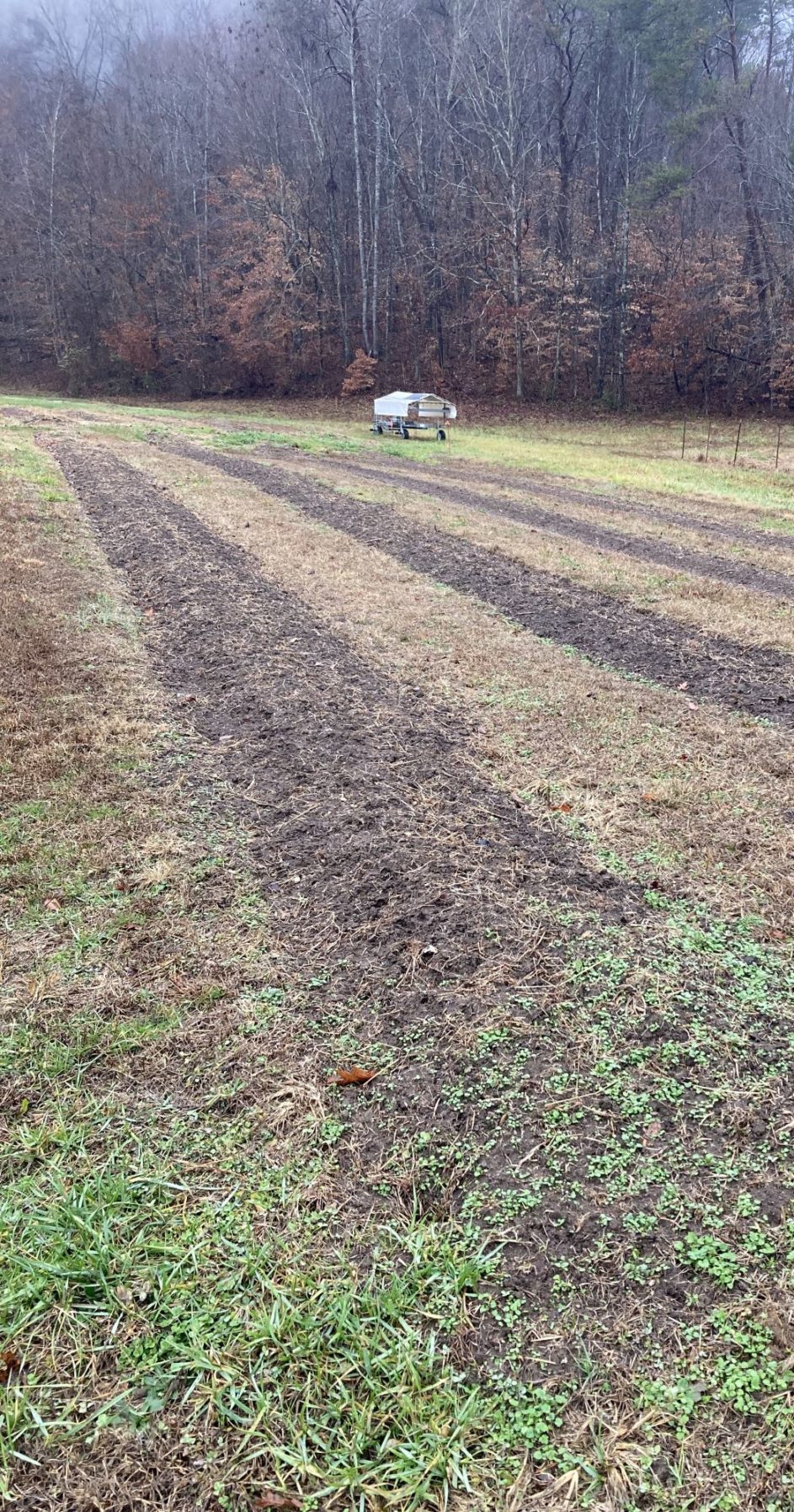 Wilsons are ‘making the farm work’ - Knox TN Today