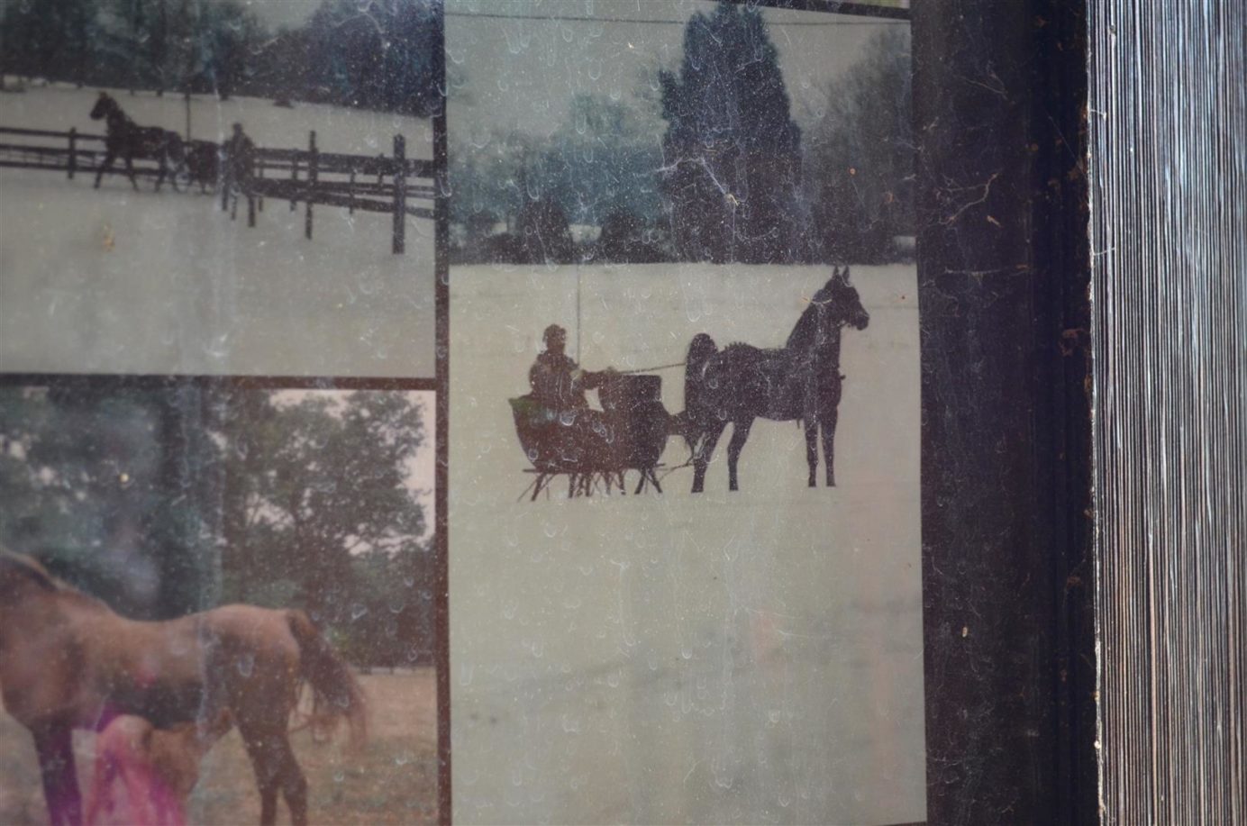 ‘Laughing all the way’ - Knox TN Today