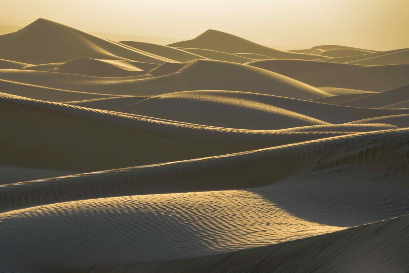 Dusty Dusky Dunes - Knox TN Today