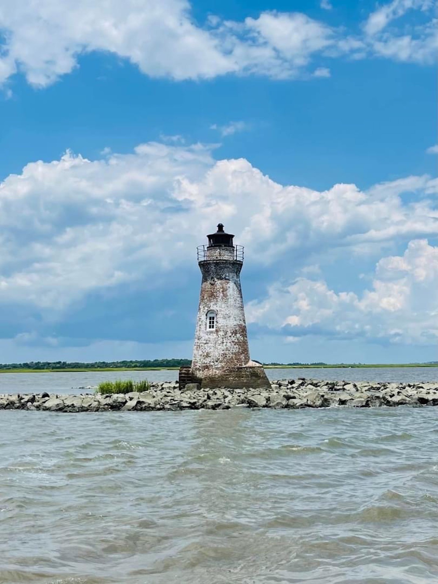 Knox the Fox finds the Gibsons at Tybee Island - Knox TN Today