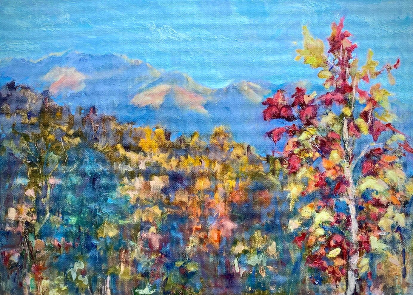 Color twist - Knox TN Today