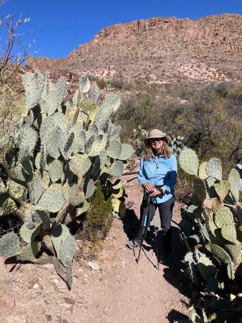 Finding a heaven - Knox TN Today