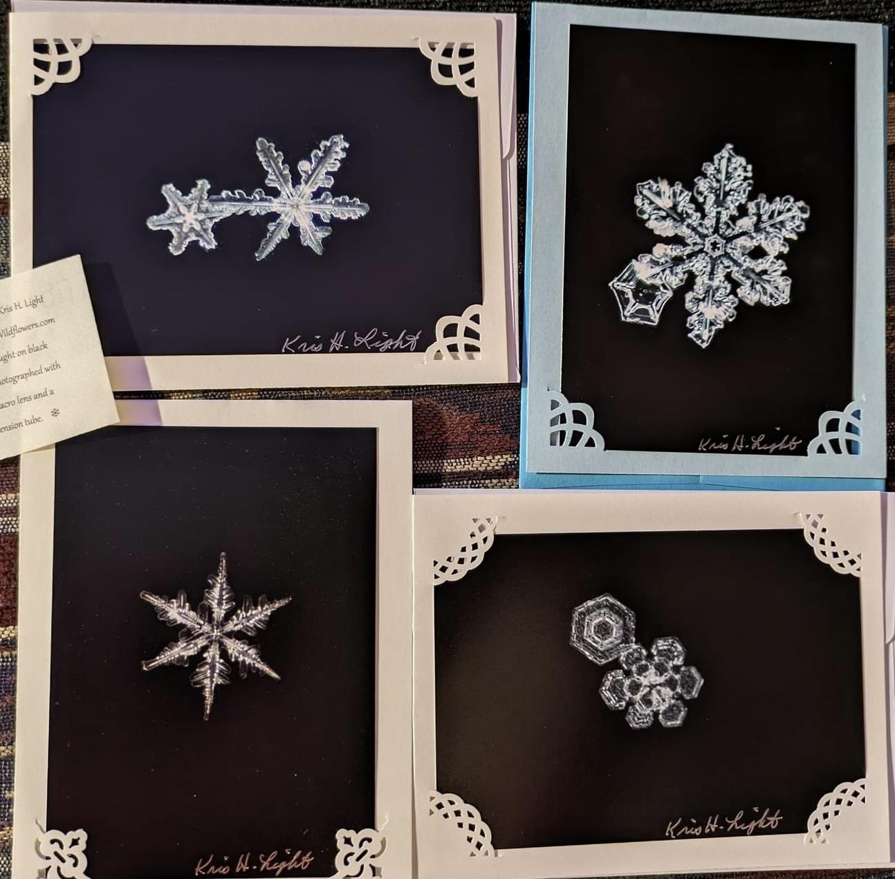 Kris Light: Journey into the lens of her photography - Knox TN Today