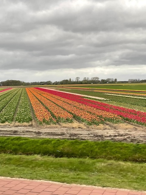 Cross tour sees tulips, takes Rhine River cruise - Knox TN Today