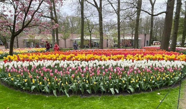 Cross tour sees tulips, takes Rhine River cruise - Knox TN Today