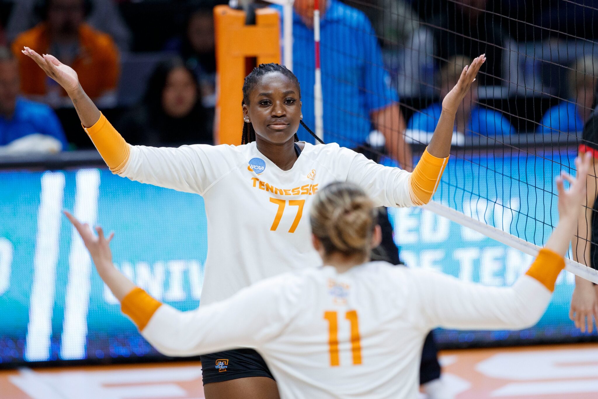 It’s Lady Vol sports time in Tennessee - Knox TN Today