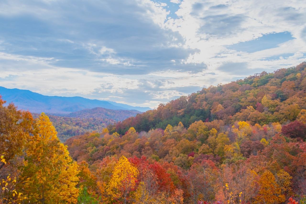 Surge of colors in the mountains - Knox TN Today