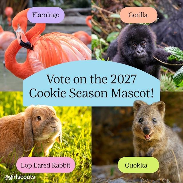 Choose the 2027 Girl Scout Cookie mascot - Knox TN Today