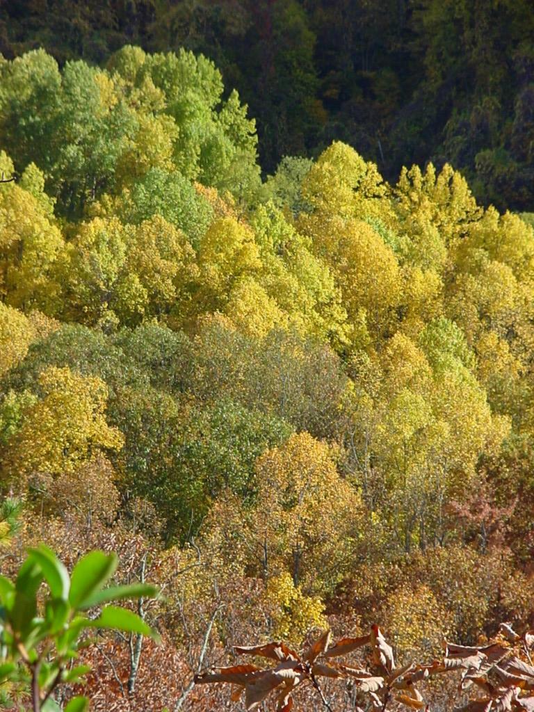 Harrington hikes Lower Cammerer Trail - Knox TN Today
