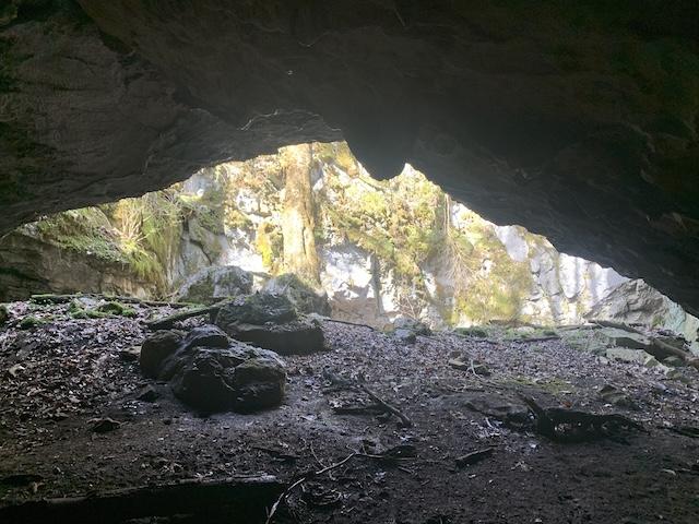 2025-03-03 Sheep Cave arch view (2) - Knox TN Today