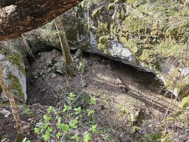The Sheep Cave - Knox TN Today