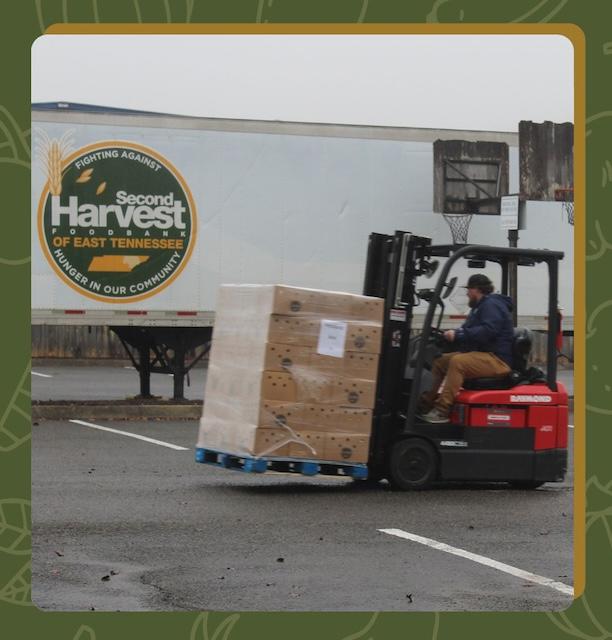 Meet Alex Swaggerty - Knox TN Today