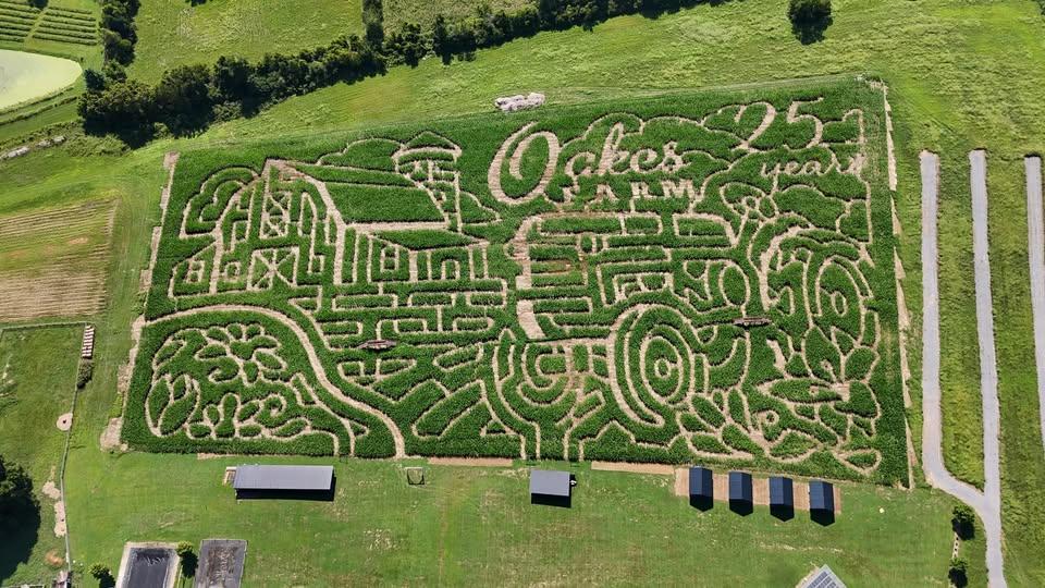 Oakes Farm Corn Maze + McFee Park + Collier Preserve ++ - Knox TN Today