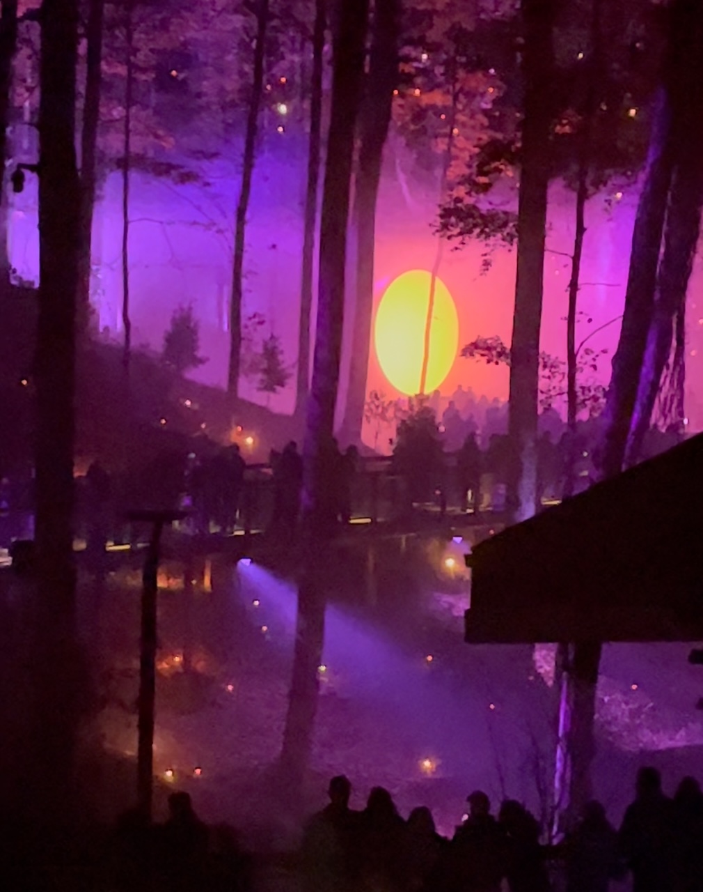 Smoky Night Lights at Zoo Knoxville - Knox TN Today