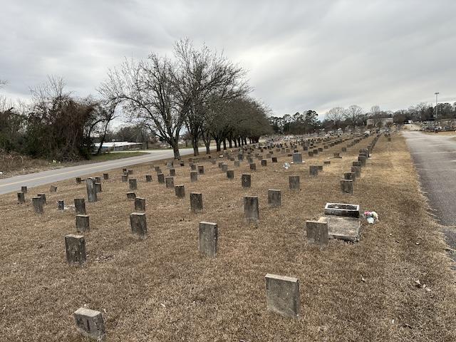 Knox the Fox visits Western Georgia cities - Knox TN Today