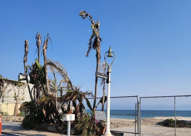 California Fires One Year Later - Knox TN Today